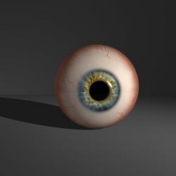 realistic eyeball 3D Models | Page 1 | STLFinder