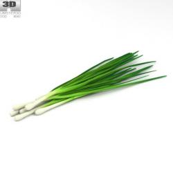 scallion 3d models 【 STLFinder