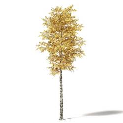 silver birch problems 3D Models | Page 1 | STLFinder