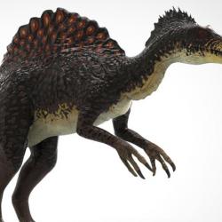 spino skeleton 3d models 【 STLFinder