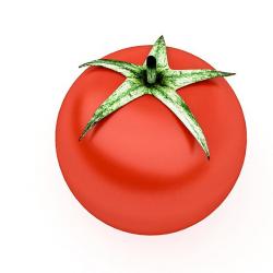3d tomato model | Page 1 | STLFinder