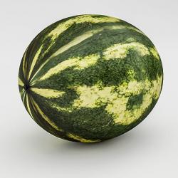 watermelon model | Page 1 | STLFinder