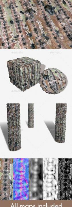 cactus texture 3d models 【 STLFinder