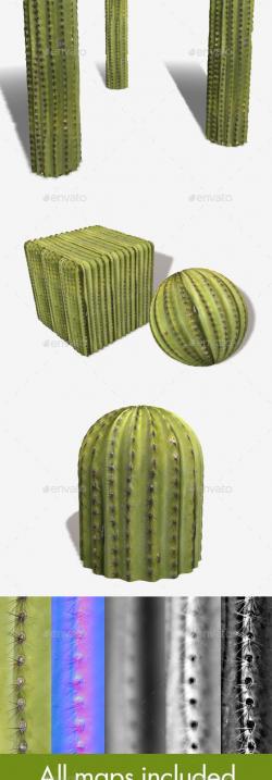 cactus texture 3d models 【 STLFinder