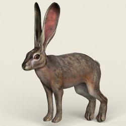 realistic rabbit 3d models 【 STLFinder