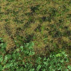 ashweed 3D Models | Page 1 | STLFinder