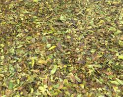 nsfw texture pack for minecraft 21 3D Models | Page 1 | STLFinder