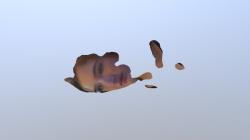 alex mw 3d models 【 STLFinder