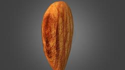 almonds 3D Models | Page 1 | STLFinder