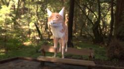 papercraft fox 3D Models | Page 1 | STLFinder