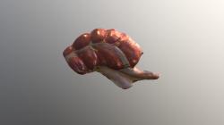 anatomy of appendix 3D Models | Page 1 | STLFinder