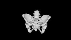 bones livingsucks shirt 3D Models | Page 1 | STLFinder