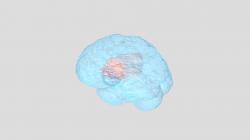 3d playdough brain model | Page 1 | STLFinder