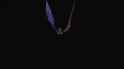 bat flying animation 3D Models | Page 1 | STLFinder