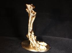 dino foot 3d models 【 STLFinder