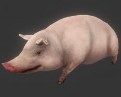 Animated Low Poly Pig 3D Models | Page 1 | STLFinder