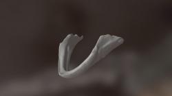 common turtle alloy footprint in illinois 3D Models | Page 1 | STLFinder