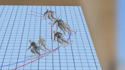 comparison between ncl and stl 3D Models | Page 1 | STLFinder