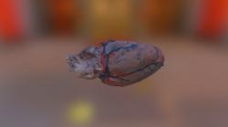 sagrat cor 3D Models | Page 1 | STLFinder