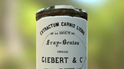 carnis stinger warframe 3D Models | Page 1 | STLFinder