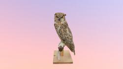 great horned owl flying 3D Models | Page 1 | STLFinder