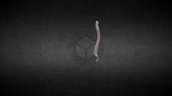 human backbone diagram 3D Models | Page 1 | STLFinder