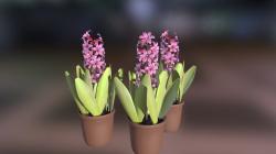 apollo and hyacinth 3D Models | Page 1 | STLFinder