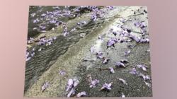 bts ptd live concept photo sketch 3D Models | Page 1 | STLFinder