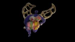niki de saint phalle 3D Models | Page 1 | STLFinder