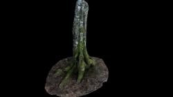 mossy tree sketch 3D Models | Page 1 | STLFinder