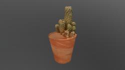 create a 3d model from photos | Page 1 | STLFinder