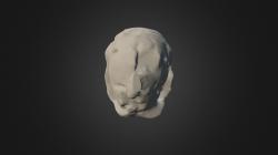 paranthropus 3d models 【 STLFinder