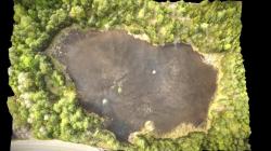 chess pond 3d models 【 STLFinder