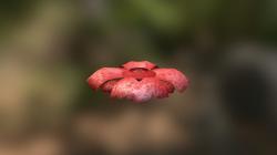 Rafflesia by 3DRivers 3D Models | Page 1 | STLFinder