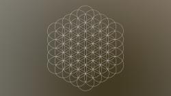 circle of life geometry 3d models 【 STLFinder
