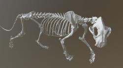 skeleton tiger 3D Models | Page 1 | STLFinder