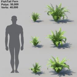 fish tail fern 3D Models | Page 1 | STLFinder