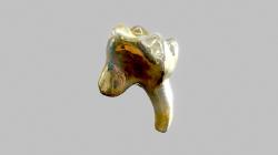 obj tooth gem 3D Models | Page 1 | STLFinder