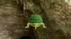 turtle model 【 STLFinder