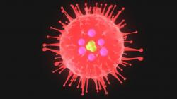 flayer virus 3D Models | Page 1 | STLFinder