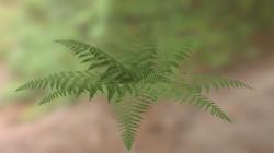 tree fern 3D Models | Page 1 | STLFinder