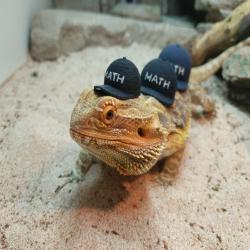 math hat yang 3D Models | Page 1 | STLFinder