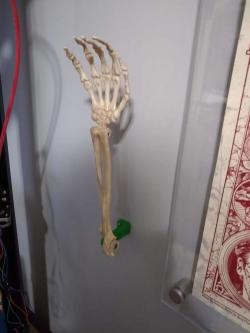skelton arm 3D Models | Page 1 | STLFinder