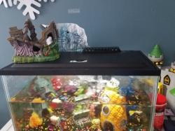 fish tank filter intake cover 3D Models | Page 1 | STLFinder