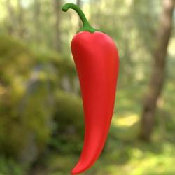 Chilli Pepper 3D Models | Page 1 | STLFinder