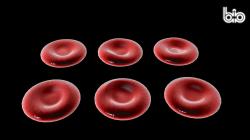3d red blood cell model | Page 1 | STLFinder