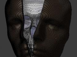 john print face split skull 3d models | Page 1 | STLFinder