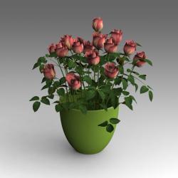 hd flowers vol 1 roses 3d models | Page 1 | STLFinder