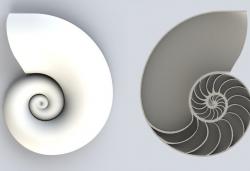 nautilus shell solidworks 3D Models | Page 1 | STLFinder