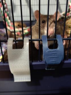 rat cage clips 3d models 【 STLFinder